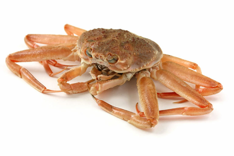 Other Products - North Lake Fisheries