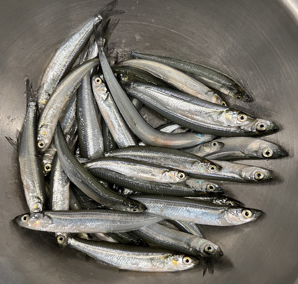Other Products - North Lake Fisheries